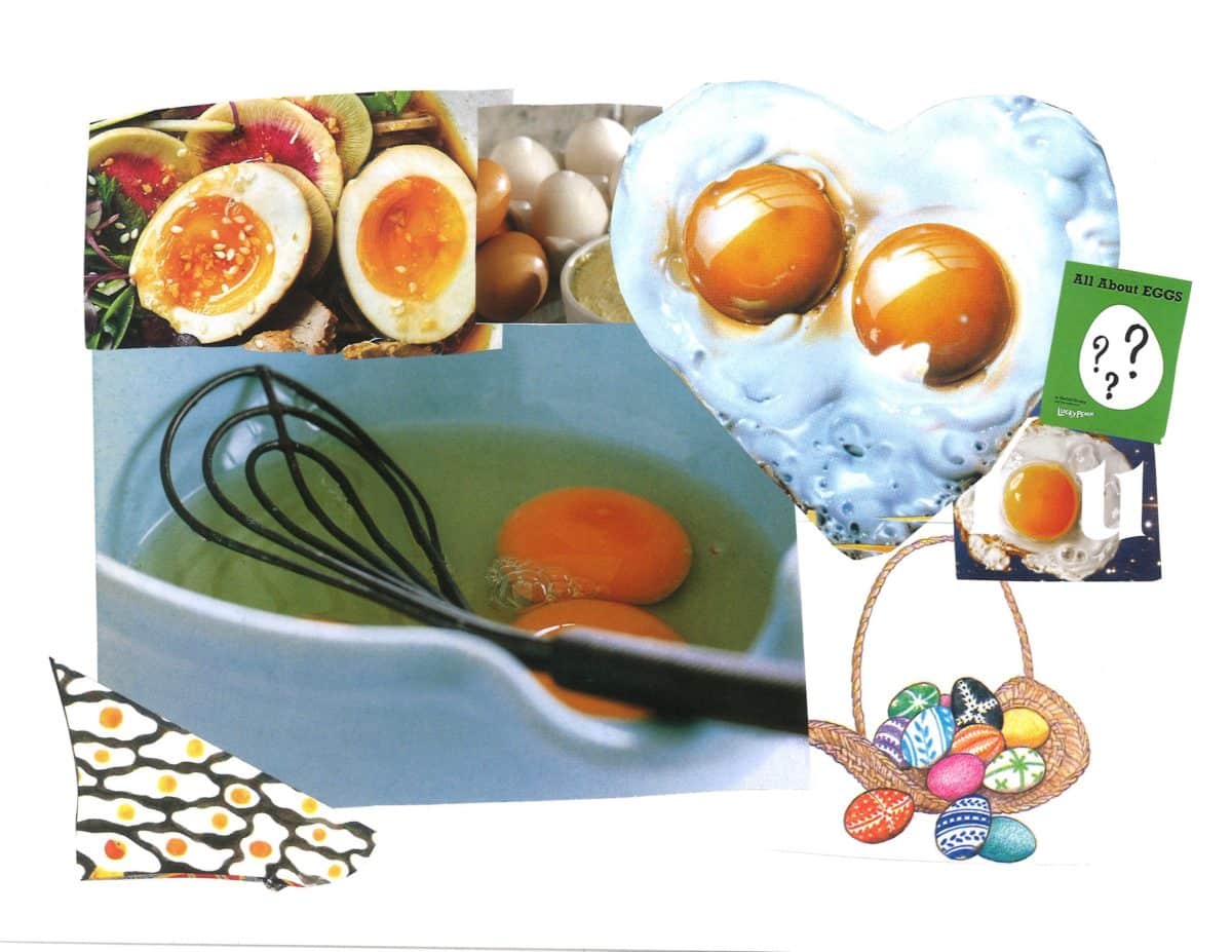 What's the Difference Between Cage-Free, Free-Range, Pasture-Raised ...